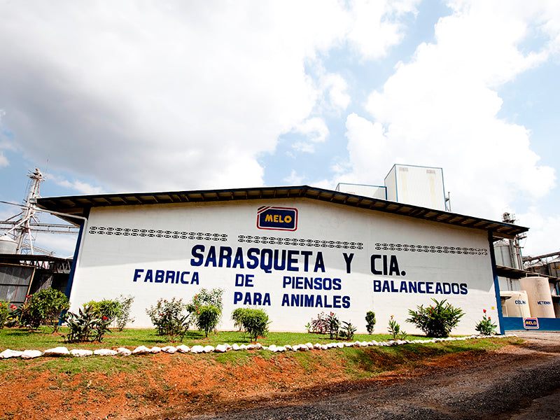 Nuestra Historia – Empresas Melo, S.A.