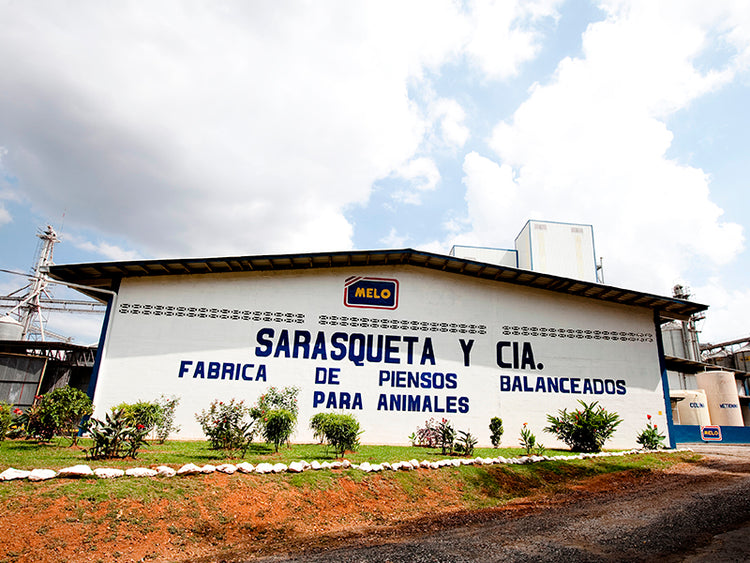 Nuestra Historia – Empresas Melo, S.A.